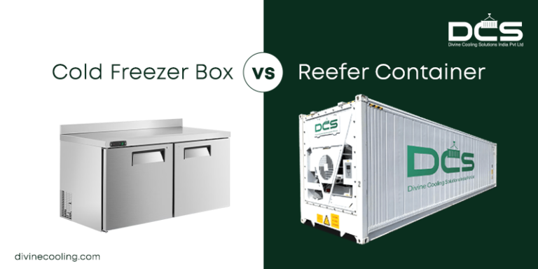 Cold Freezer Box vs. Reefer Container: Key Differences Explained